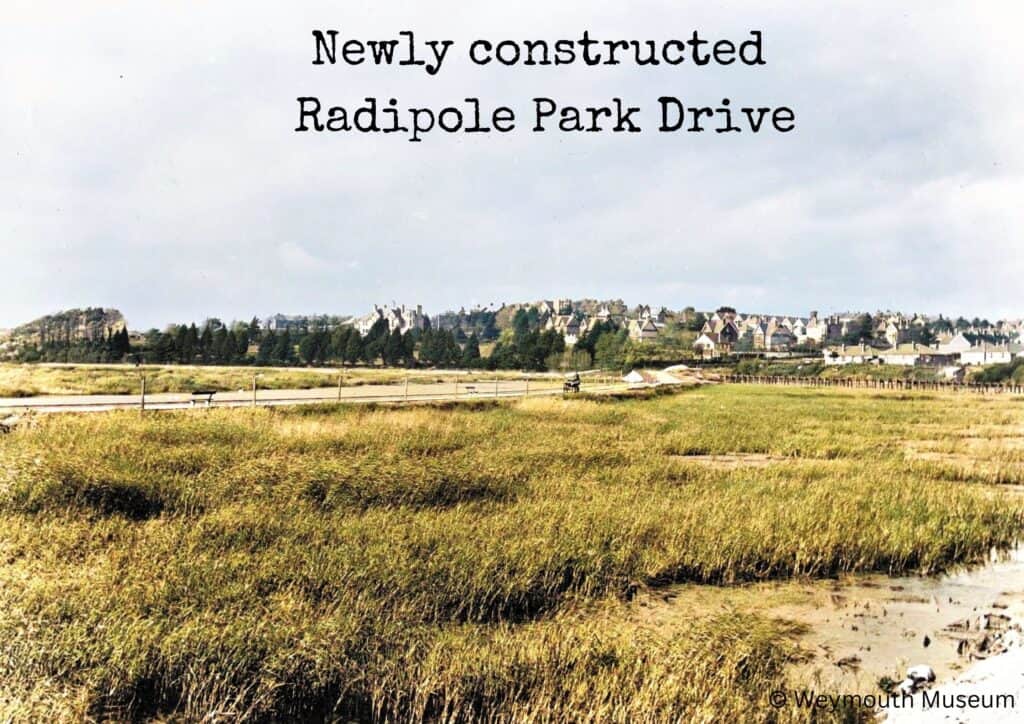 Radipole Sensory Garden April 2024; Surprising What You Can Find On a ...