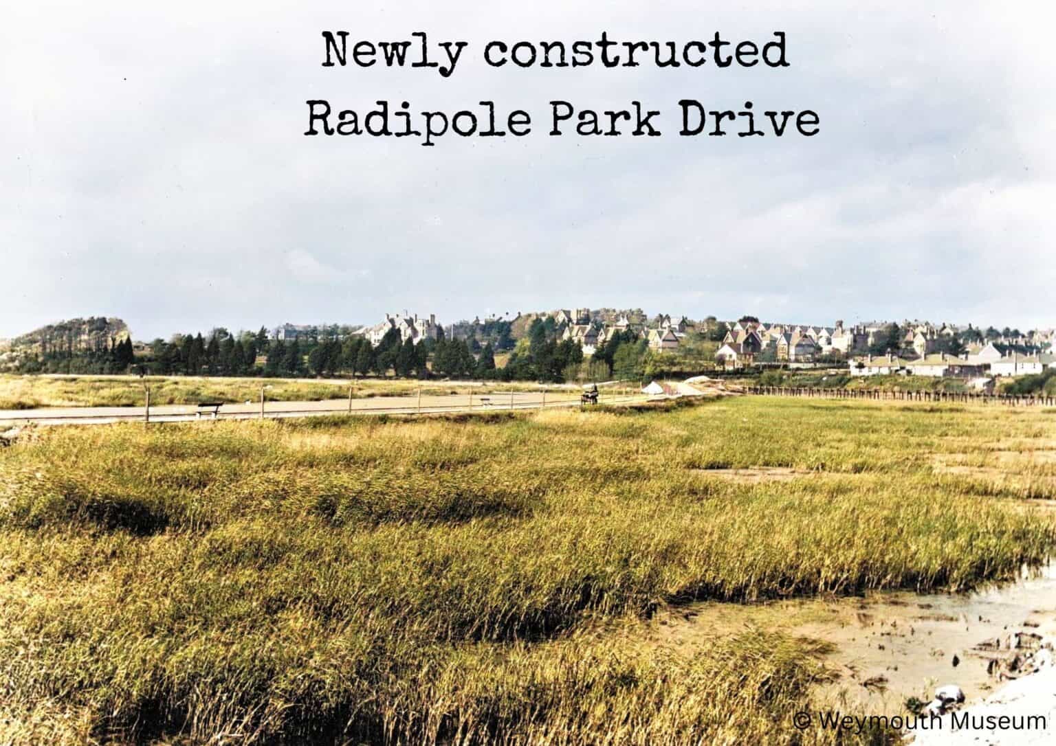 Radipole Sensory Garden April 2024; Surprising What You Can Find On a ...